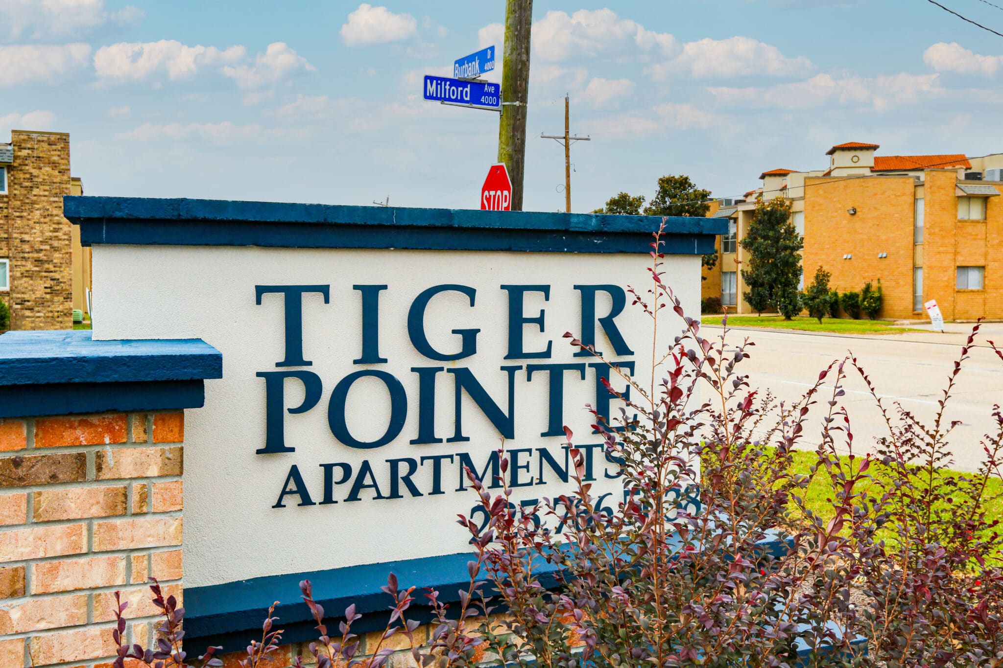 Tiger Pointe - CLK